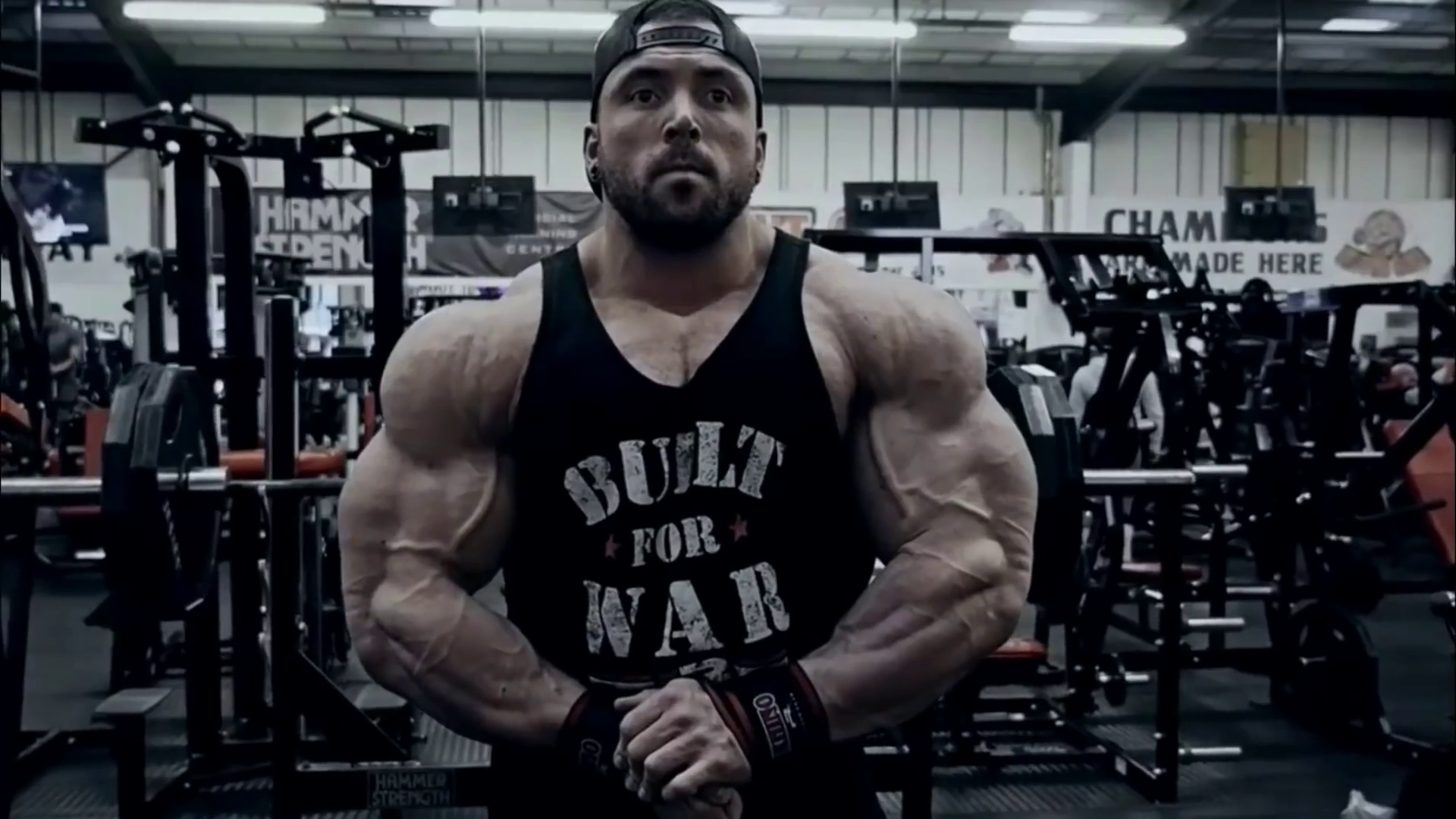 Gaybi Men Into Female Muscle Female Bodybuilders