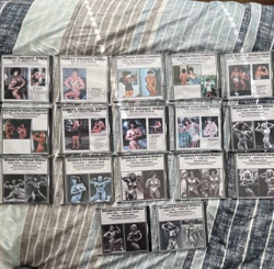 My collection of WPW and Ray Martin DVDs