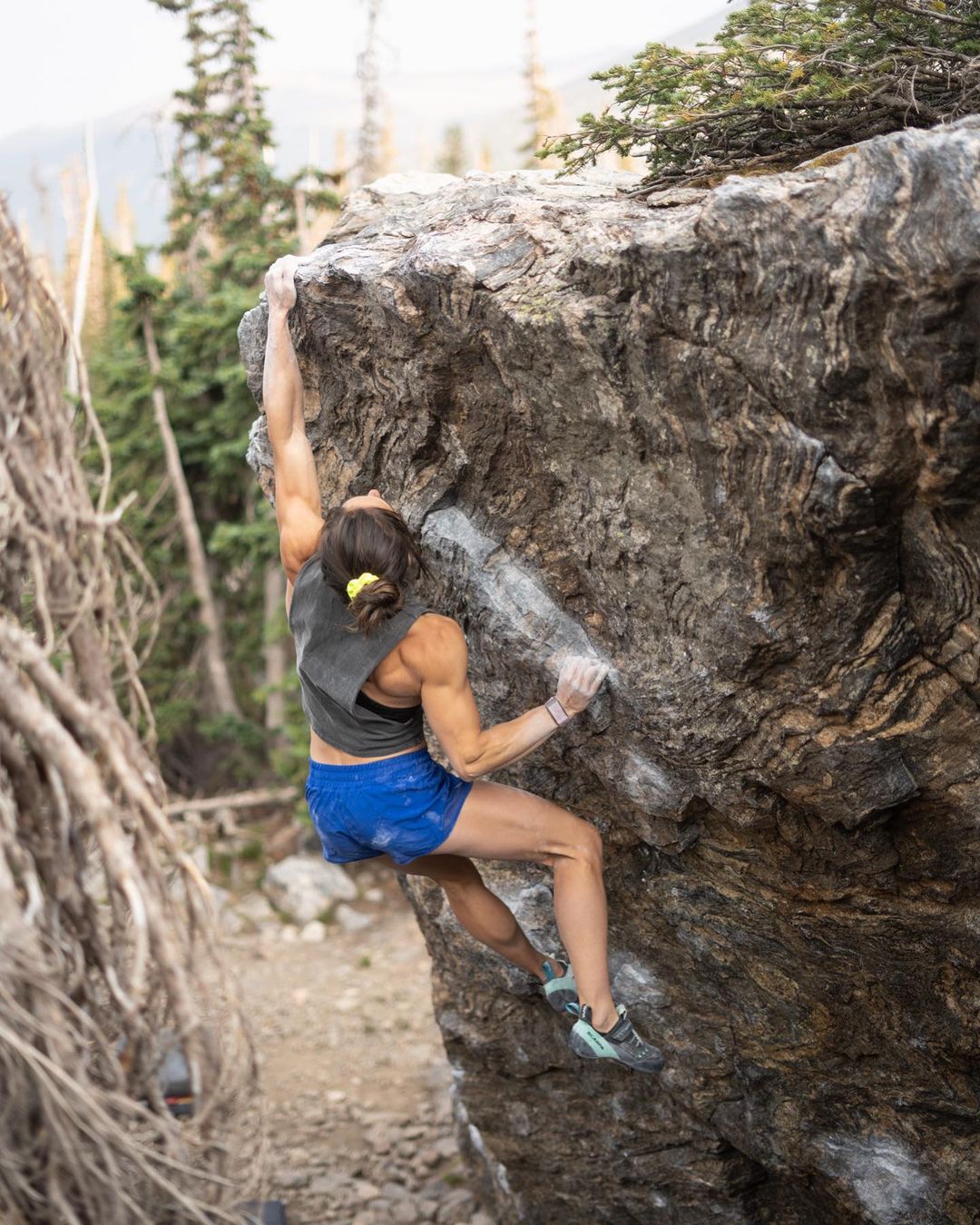Alex Puccio