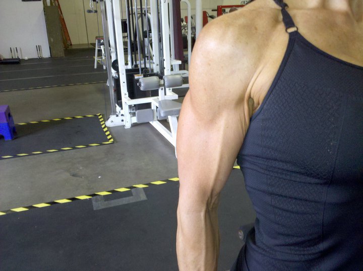 Lisa Anne O'brien-Stark