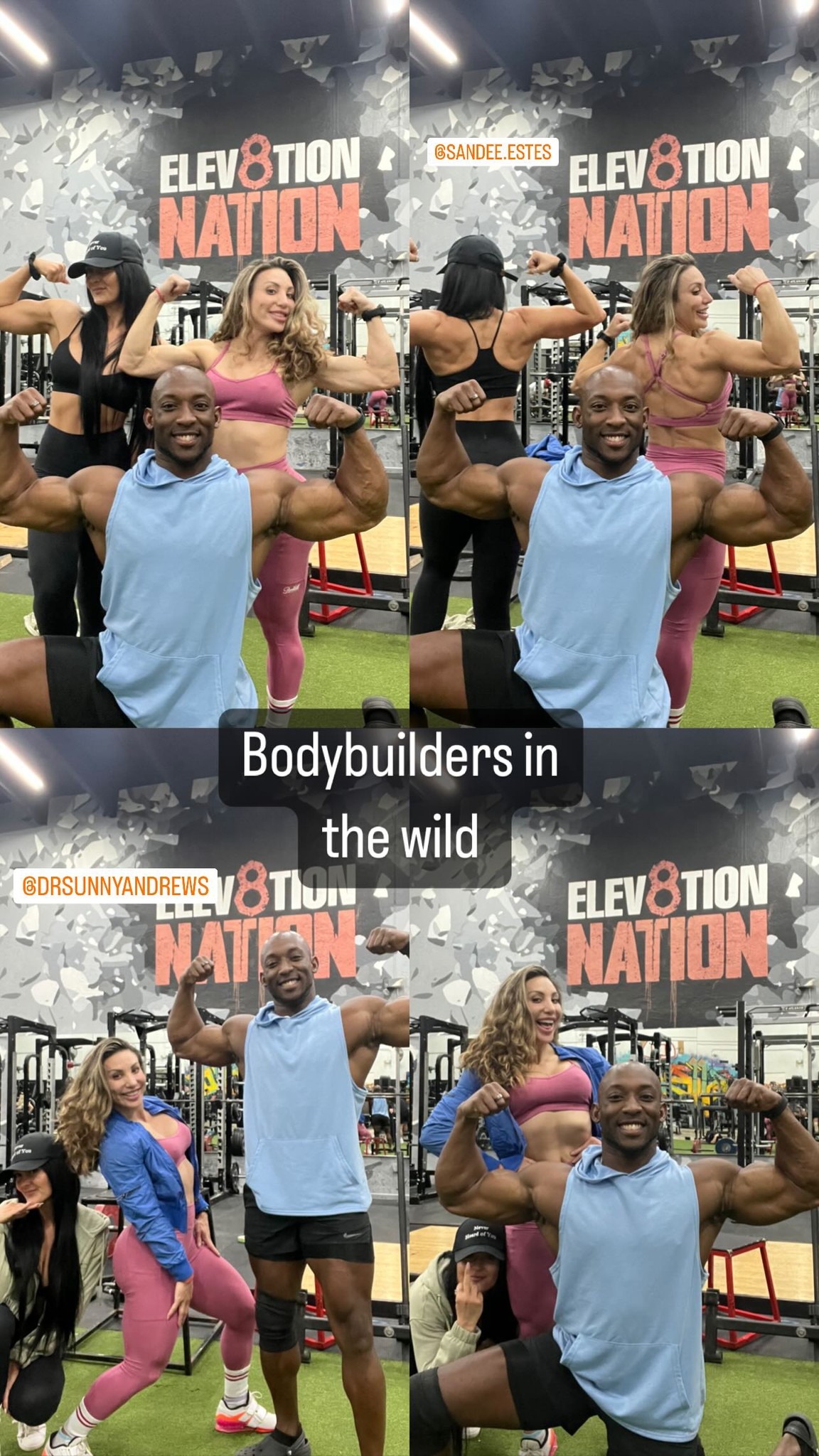 Sandee Estes, Sonia Andreou (Sunny Andrews)