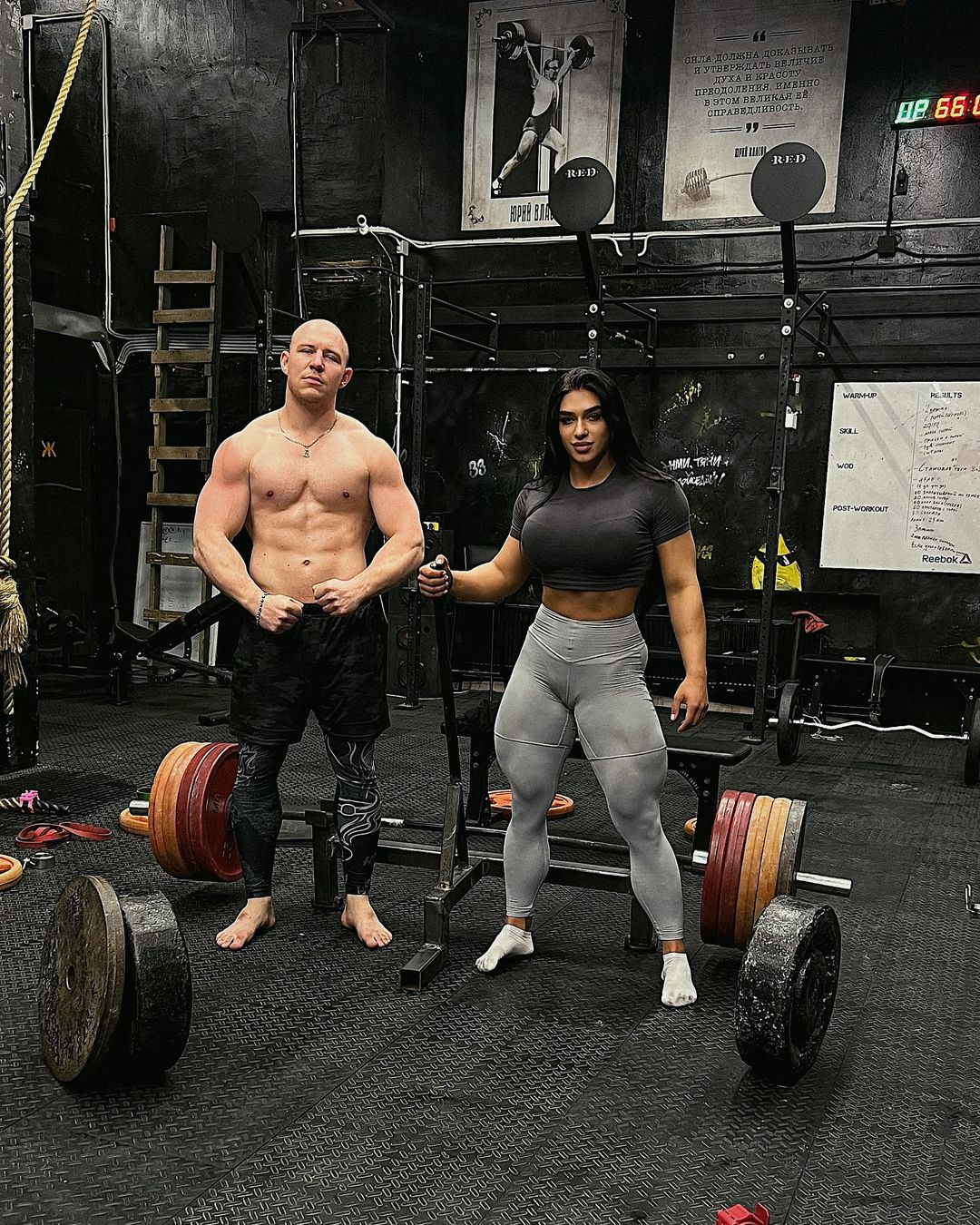 Daria Pluzhnikova (Shuer)