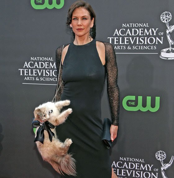 Stacy Haiduk