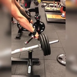 Pictures of Chelsea dion