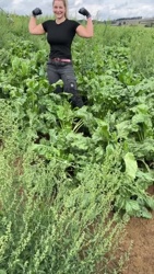 Pictures of Katha Grabbe